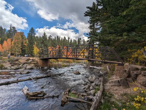 2023 Best Forest Trails in Duck Creek Village | AllTrails