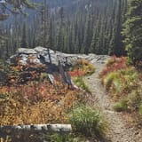 Danny On National Recreation Trail, Montana - 1,380 Reviews, Map ...