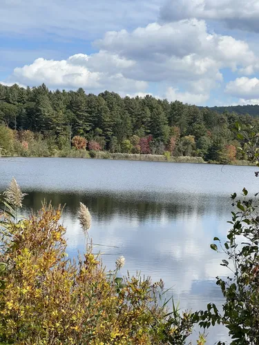 10 Best Hikes and Trails in Meshomasic State Forest | AllTrails