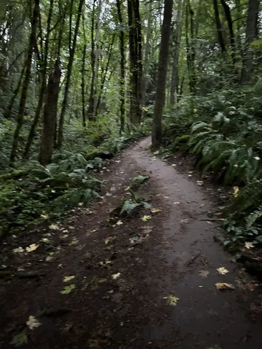 Best Hikes and Trails in Hershire Woods | AllTrails