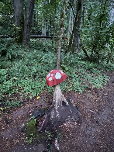 Best Hikes and Trails in Hershire Woods | AllTrails