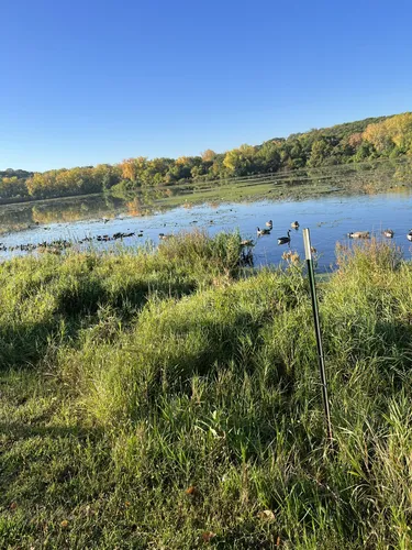 Best Hikes and Trails in Normandale Lake Park | AllTrails