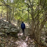 Lewis Spring Falls Trail, Virginia - 1,295 Reviews, Map | AllTrails