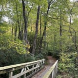 South Toe River Loop Trail, North Carolina - 431 Reviews, Map | AllTrails