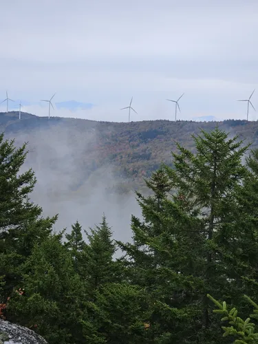 Best Hikes and Trails in Hebron Town Forest | AllTrails