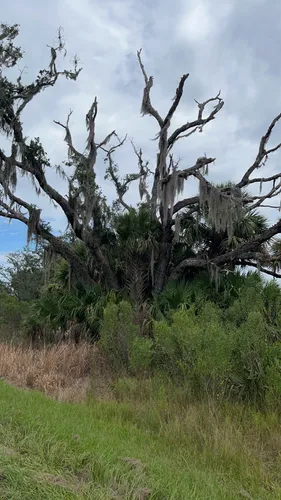 Best Hikes and Trails in Emeralda Marsh Conservation Area | AllTrails