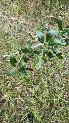 Best Hikes and Trails in Emeralda Marsh Conservation Area | AllTrails