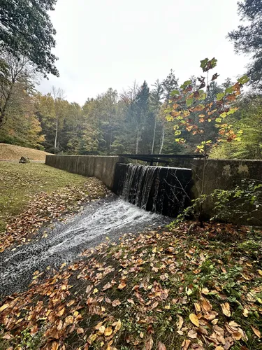 10 Best Hikes and Trails in Mount Toby State Forest | AllTrails