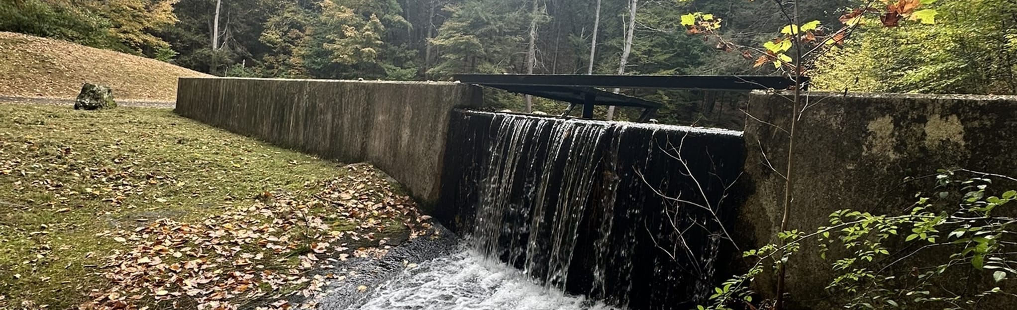 Mt Toby Loop, Massachusetts - 43 Reviews, Map | AllTrails