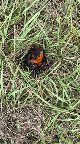 Best Hikes and Trails in Emeralda Marsh Conservation Area | AllTrails