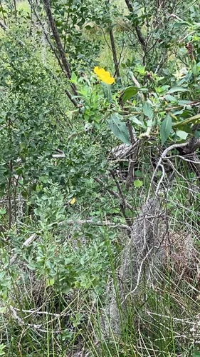 Best Hikes and Trails in Emeralda Marsh Conservation Area | AllTrails