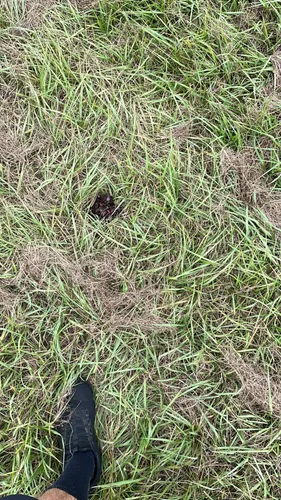 Best Hikes and Trails in Emeralda Marsh Conservation Area | AllTrails