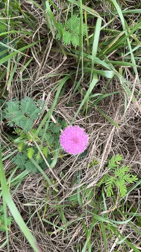 Best Hikes and Trails in Emeralda Marsh Conservation Area | AllTrails