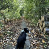 Bugline Trail, Wisconsin - 610 Reviews, Map | AllTrails
