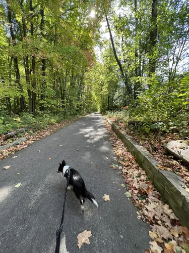 Best Hikes and Trails in Spring Green Park | AllTrails