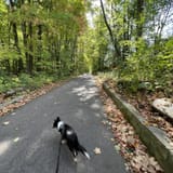 Bugline Trail, Wisconsin - 610 Reviews, Map | AllTrails