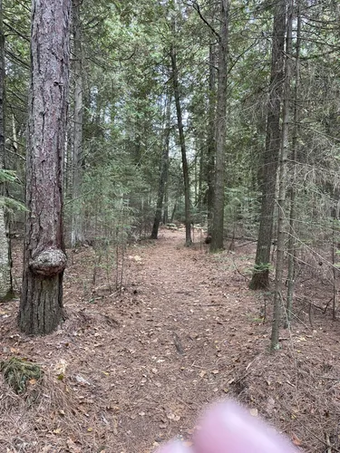 Best Hikes and Trails in The Ridges Sanctuary State Natural Area ...