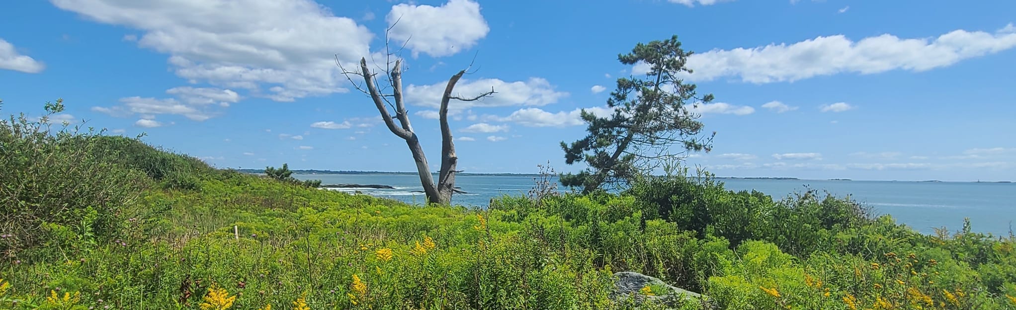 Sachuest Point National Wildlife Refuge Trail, Rhode Island - 1,514 ...