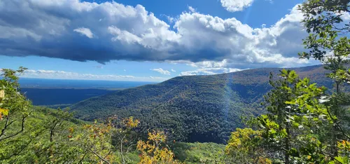 10 Best Hikes and Trails in Kaaterskill Wild Forest | AllTrails