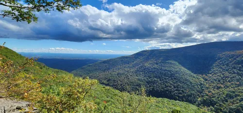 10 Best Hikes and Trails in Kaaterskill Wild Forest | AllTrails