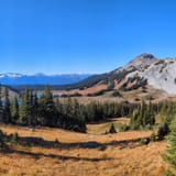 Panorama Ridge, British Columbia, Canada - 2,373 Reviews, Map | AllTrails