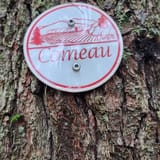 The Comeau Property Trail, New York - 390 Reviews, Map | AllTrails