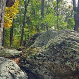 Lewis Spring Falls Trail, Virginia - 1,295 Reviews, Map | AllTrails