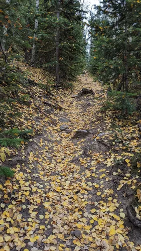 Best Hikes and Trails in Redstone | AllTrails