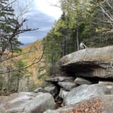 Champney Falls Trail, New Hampshire - 1,549 Reviews, Map | AllTrails