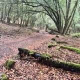 Canyon Trail to Spring Creek Trail Loop, California - 1,417 Reviews ...