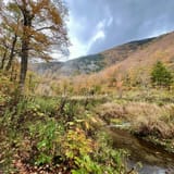 Nebraska Notch via Lake Mansfield Trail, Vermont - 647 Reviews, Map ...