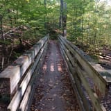 The Manistee River Loop Trail, Michigan - 1,964 Reviews, Map | AllTrails