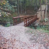 The Manistee River Loop Trail, Michigan - 1,964 Reviews, Map | AllTrails