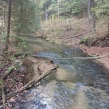 The Manistee River Loop Trail, Michigan - 1,964 Reviews, Map | AllTrails