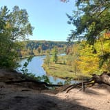 The Manistee River Loop Trail, Michigan - 1,964 Reviews, Map | AllTrails