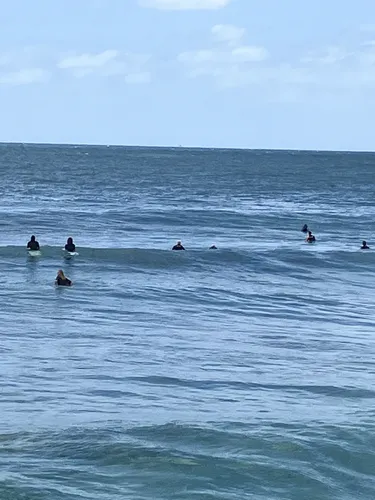 Best Hikes and Trails in Port Cartwright Reserve | AllTrails