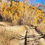 Caribou Ranch Trail [CLOSED], Colorado - 1,332 Reviews, Map | AllTrails