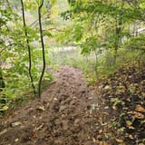 Treat Farm Trail, Michigan - 824 Reviews, Map | AllTrails