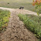 Treat Farm Trail, Michigan - 824 Reviews, Map | AllTrails