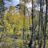 Hope Valley, California - 113 Reviews, Map | AllTrails