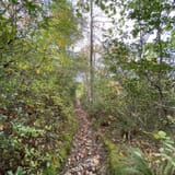 Riprap Trail , Virginia - 1,478 Reviews, Map | AllTrails