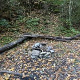 Riprap Trail , Virginia - 1,478 Reviews, Map | AllTrails