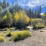 Government Springs 95A, Arizona - 553 Reviews, Map | AllTrails