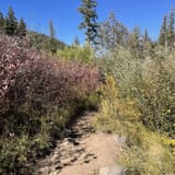 Government Springs 95A, Arizona - 553 Reviews, Map | AllTrails