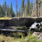 Government Springs 95A, Arizona - 553 Reviews, Map | AllTrails