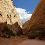 Capitol Gorge to Tanks Trail, Utah - 1,267 Reviews, Map | AllTrails