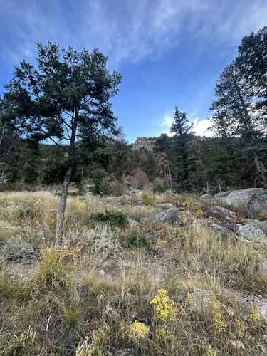 Best Hikes and Trails in H.B. Wallace Reserve | AllTrails