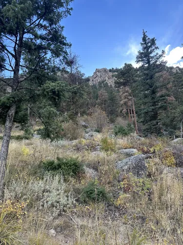 Best Hikes and Trails in H.B. Wallace Reserve | AllTrails