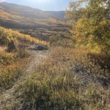 Crag Crest National Recreation Trail, Colorado - 856 Reviews, Map ...