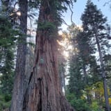 Fallen Leaf Lake Trail, California - 1,110 Reviews, Map | AllTrails